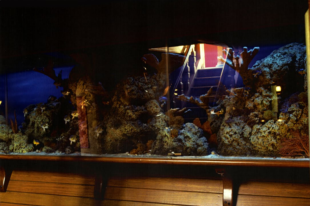 Kevin Kidney: Fish Tale!...Part Three