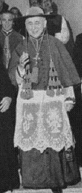 Blog de heráldica: CAPELO ECLESIÁSTICO