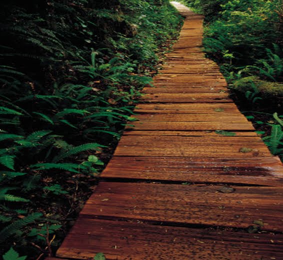 Epitome: Light – for the Next Step on the Dark Path of Life