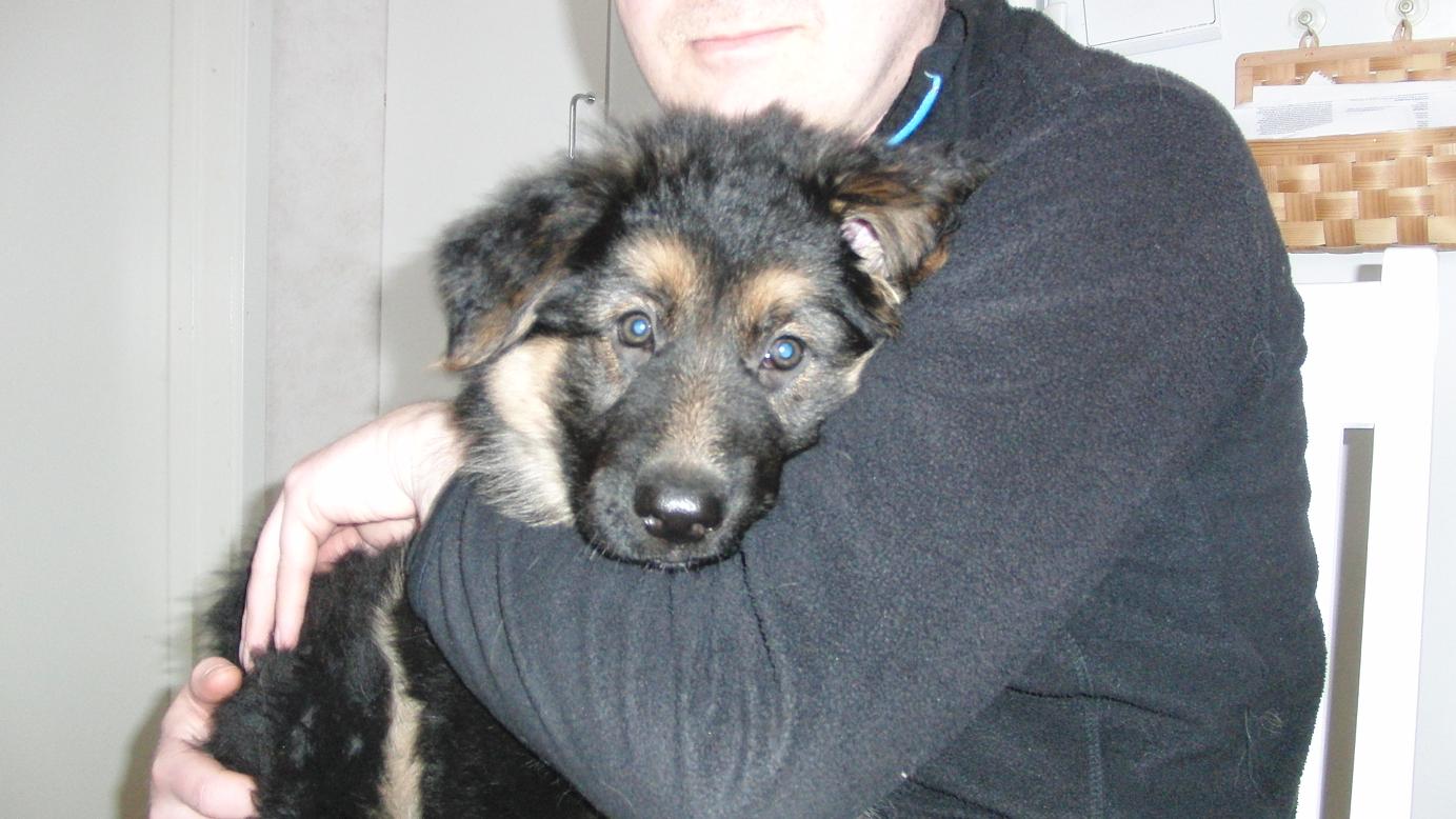 Mini: VALP BORTSKÄNKES!