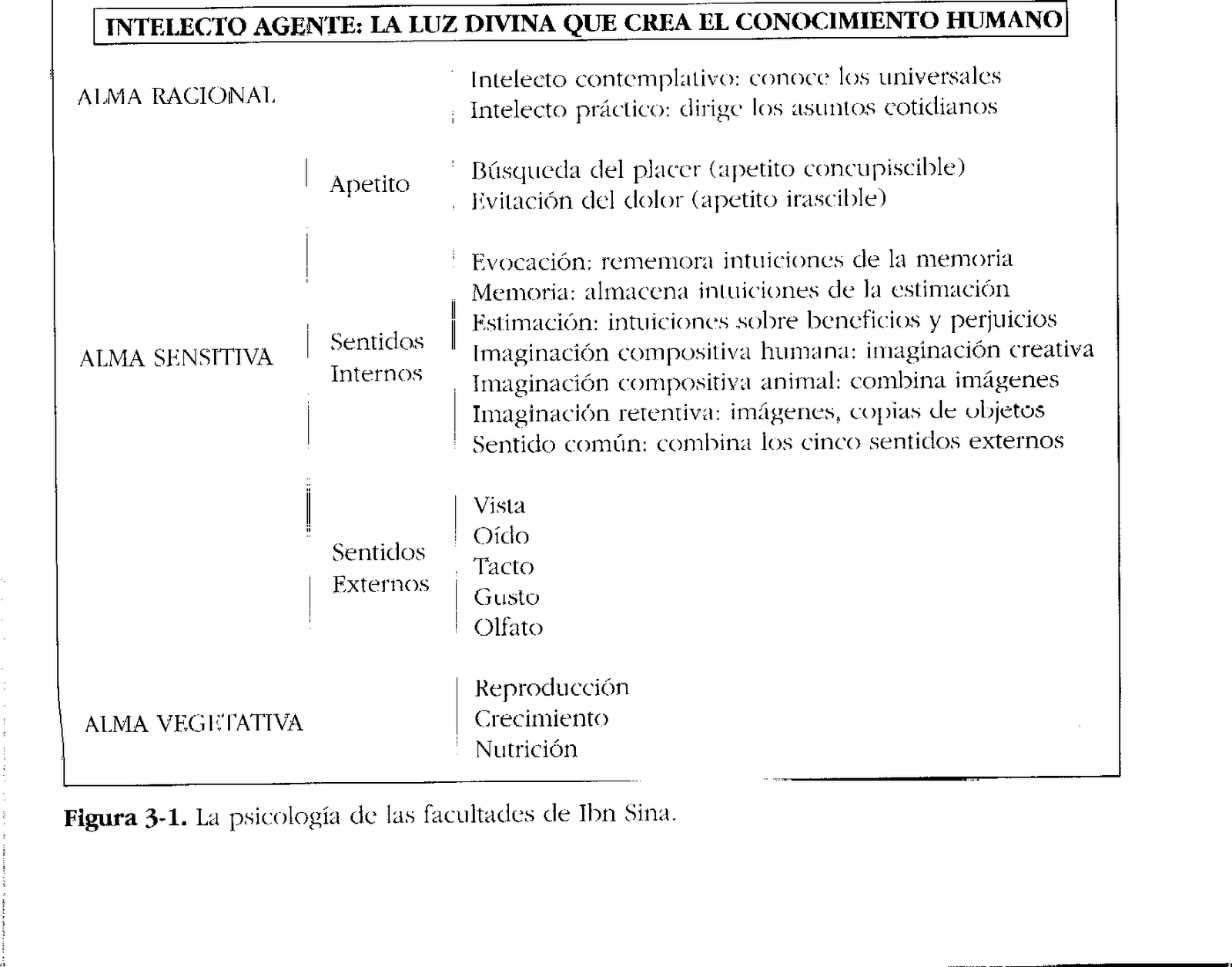 El mundo clásico: Aristóteles