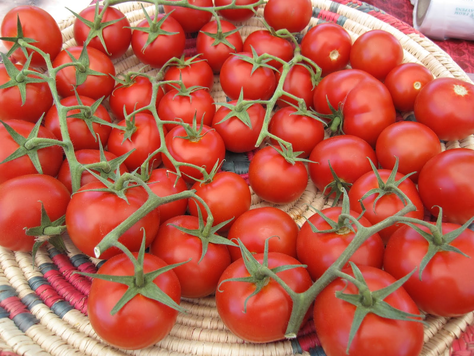 Prieta's Notes: August 2010