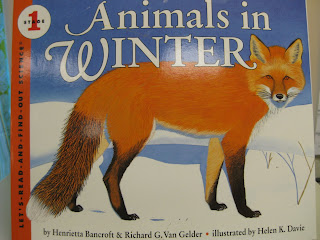 The Alphabet Garden: Update on January Math Centers, Animals in Winter ...