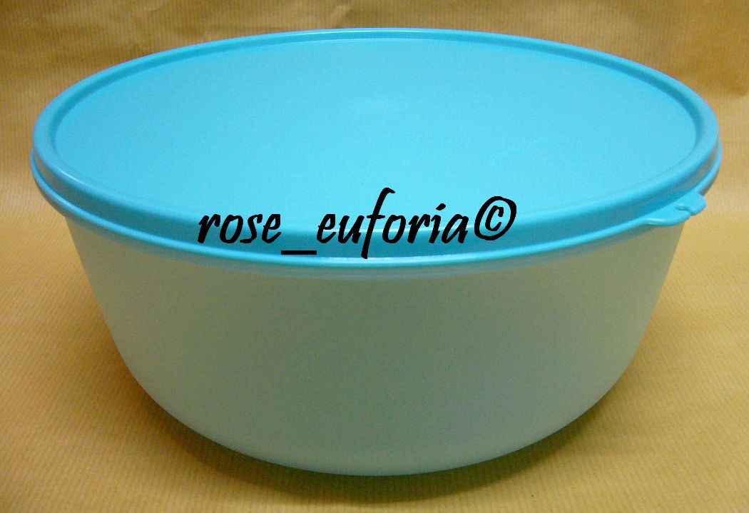 rose_euforia My Tupperware Collection: Tupperware Modular Bowl (1) 4L