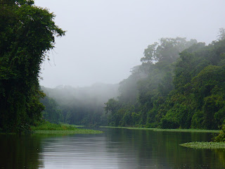 SELVA VIRGEN