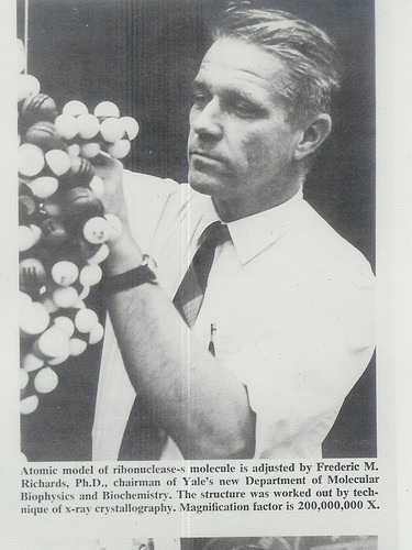 SUJATA'S BLOG: Remembering Fred's Folly (and more)