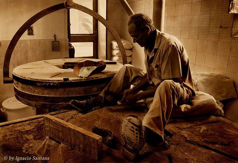 IgnacioSPhoto: Molinero