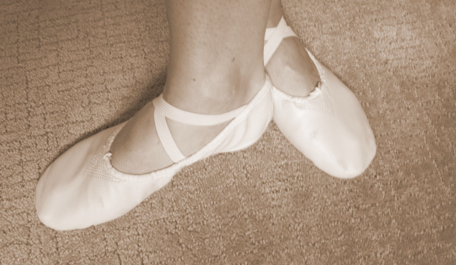 La Dolce Vita.....: Wordless Wednesday: Ballet Slippers