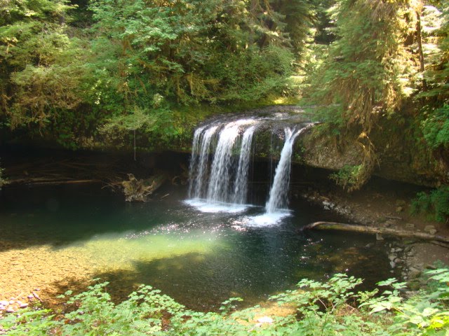 The Holloway Family: Hiking Pics from Butte Falls, outside Scott's Mill ...