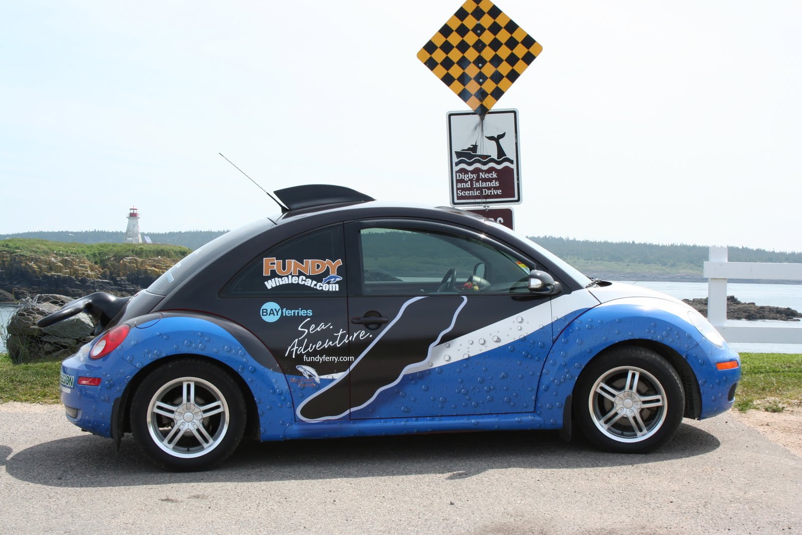 Brier Island Nature Blog: Bay of Fundy whale car comes to visit Brier