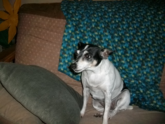 boo hoo hoo by Farrell Hamann: Boo Hoo Hoo 竹 禅, わびさび