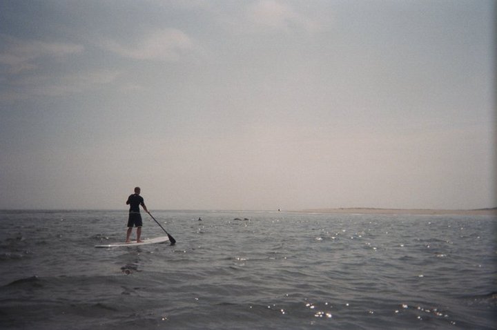 Live to Sail and SUP: Cape Henlopen Dolphin Count With The MERR Institute