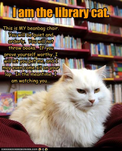 The Shady Glade: November 2010