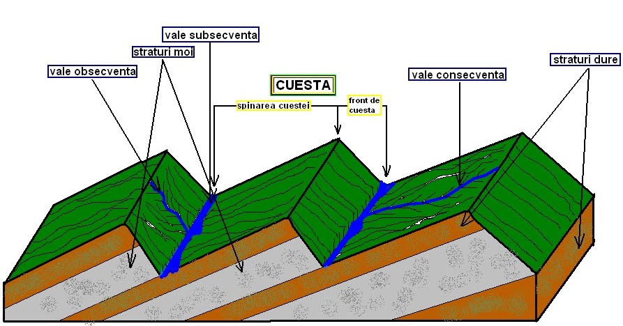 GEOGRAPHIA ONLINE: Structura monoclinala