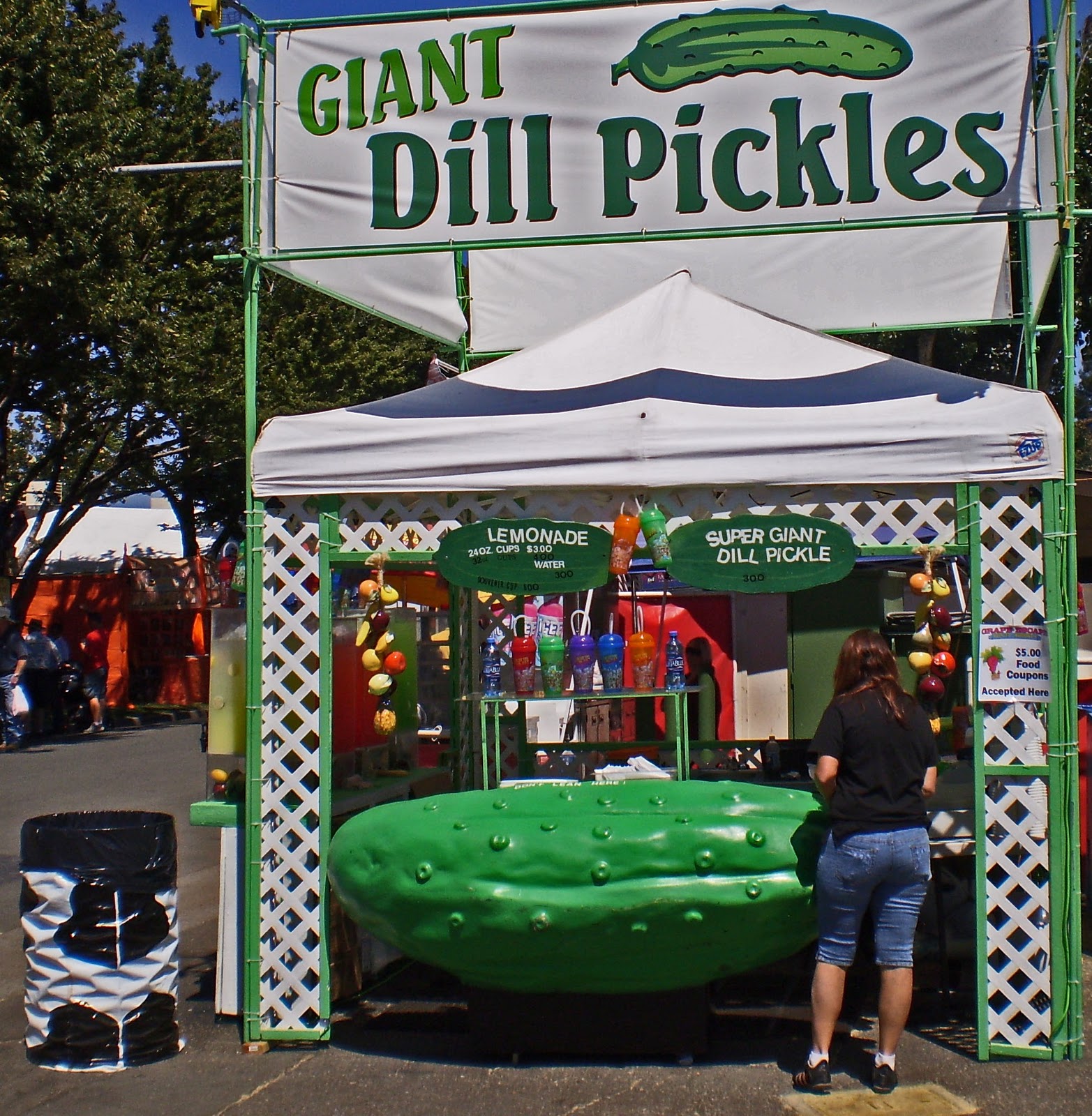 MAD MEAT GENIUS: SONOMA COUNTY FAIR