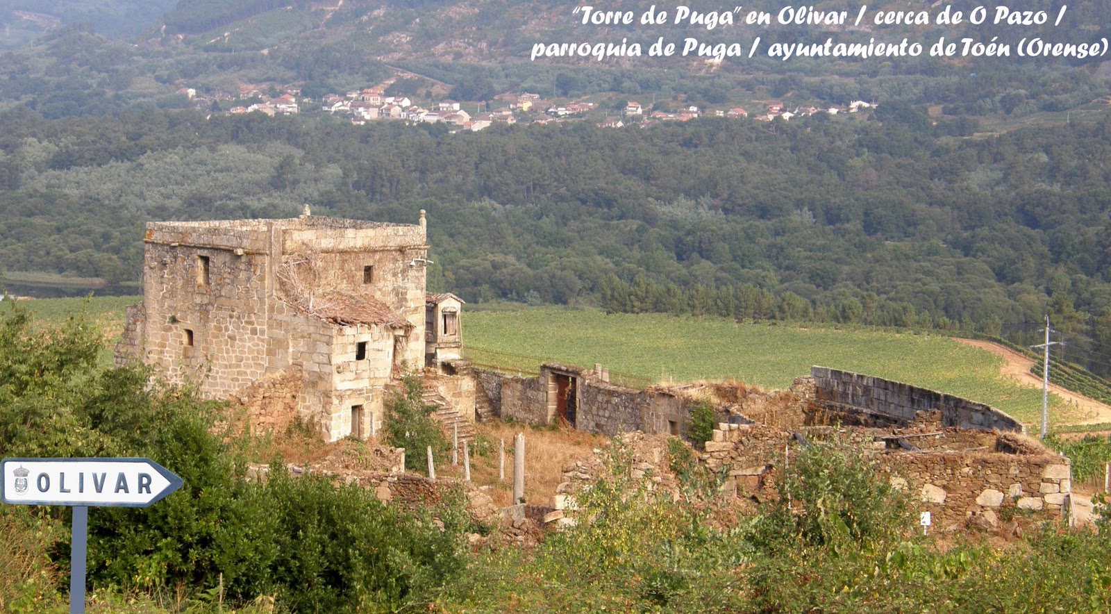 PUGA : un apellido toponímico: APELLIDO PUGA: ORIGEN Y TOPONIMIA