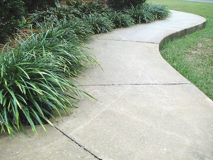 laughing pastor: monkey grass herders