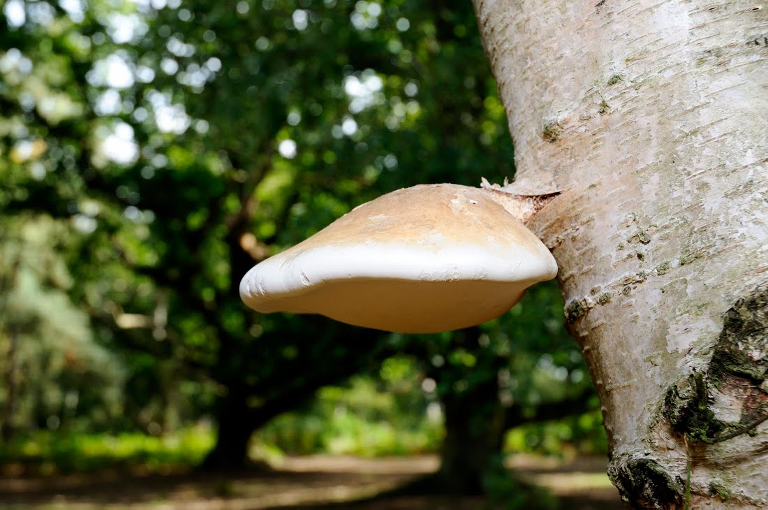 Back In Birdland: September 2010