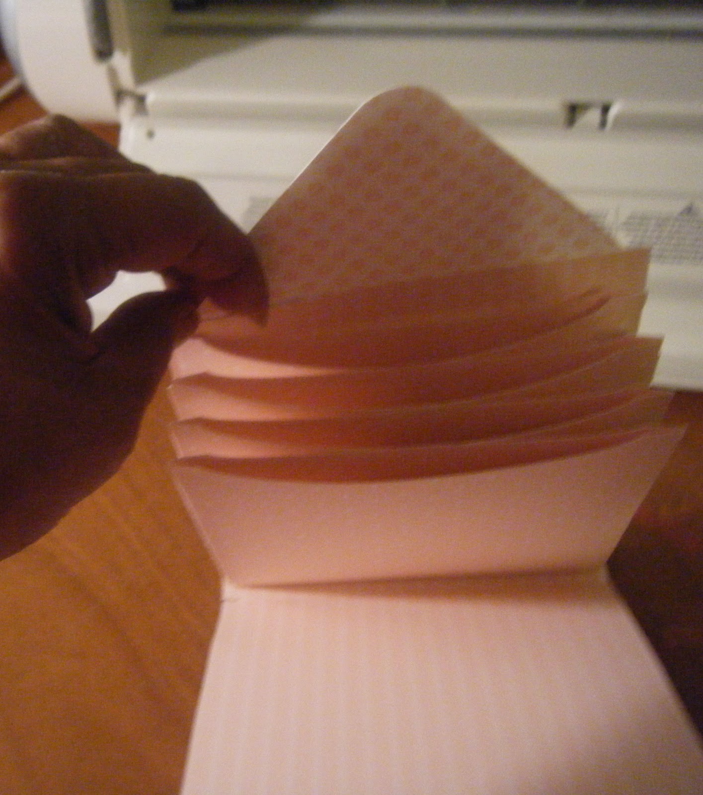 Cute and Some: A PRETTY LITTLE CD/DVD WALLET