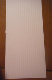 Cute and Some: A PRETTY LITTLE CD/DVD WALLET