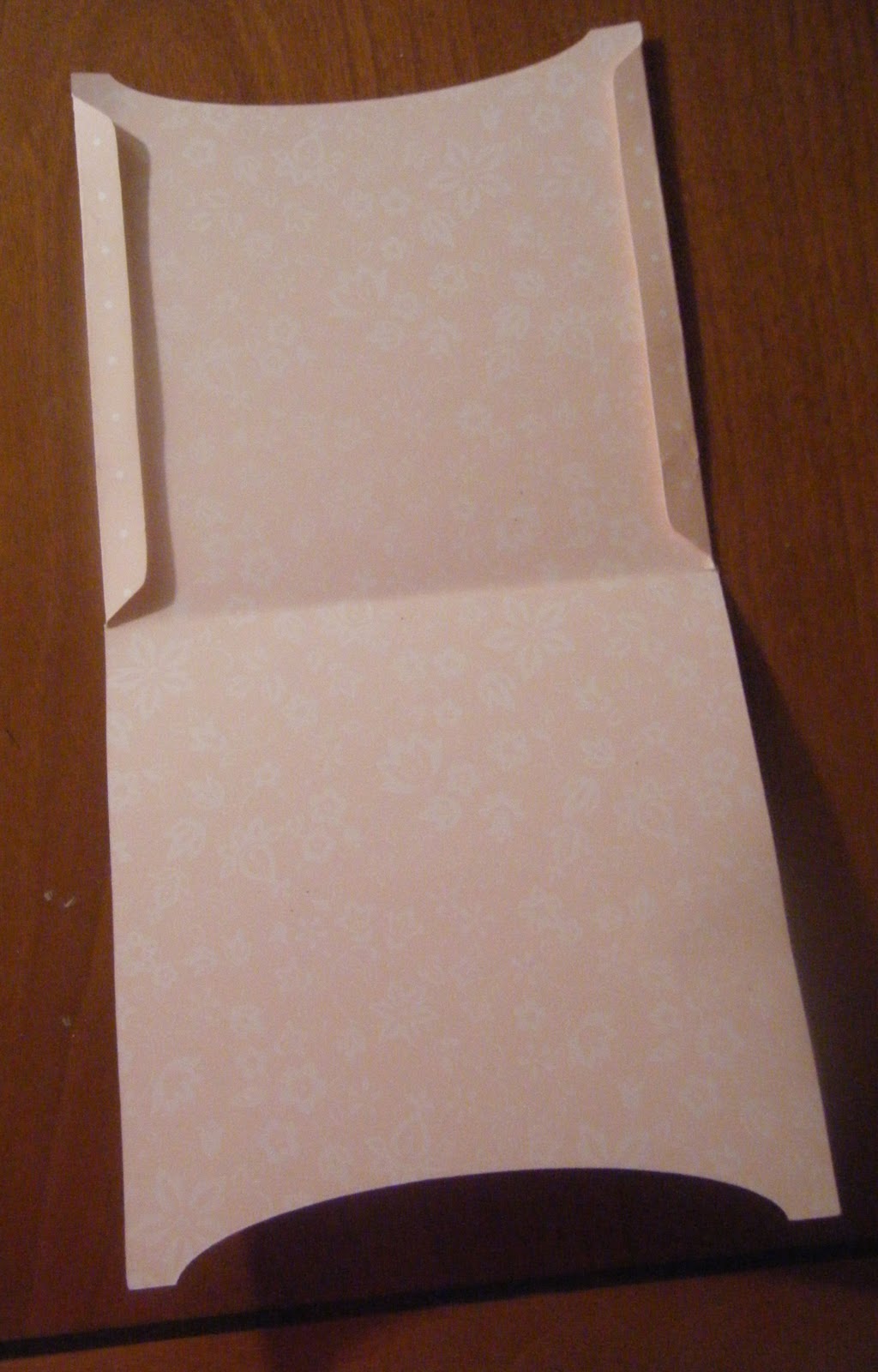 Cute and Some: A PRETTY LITTLE CD/DVD WALLET