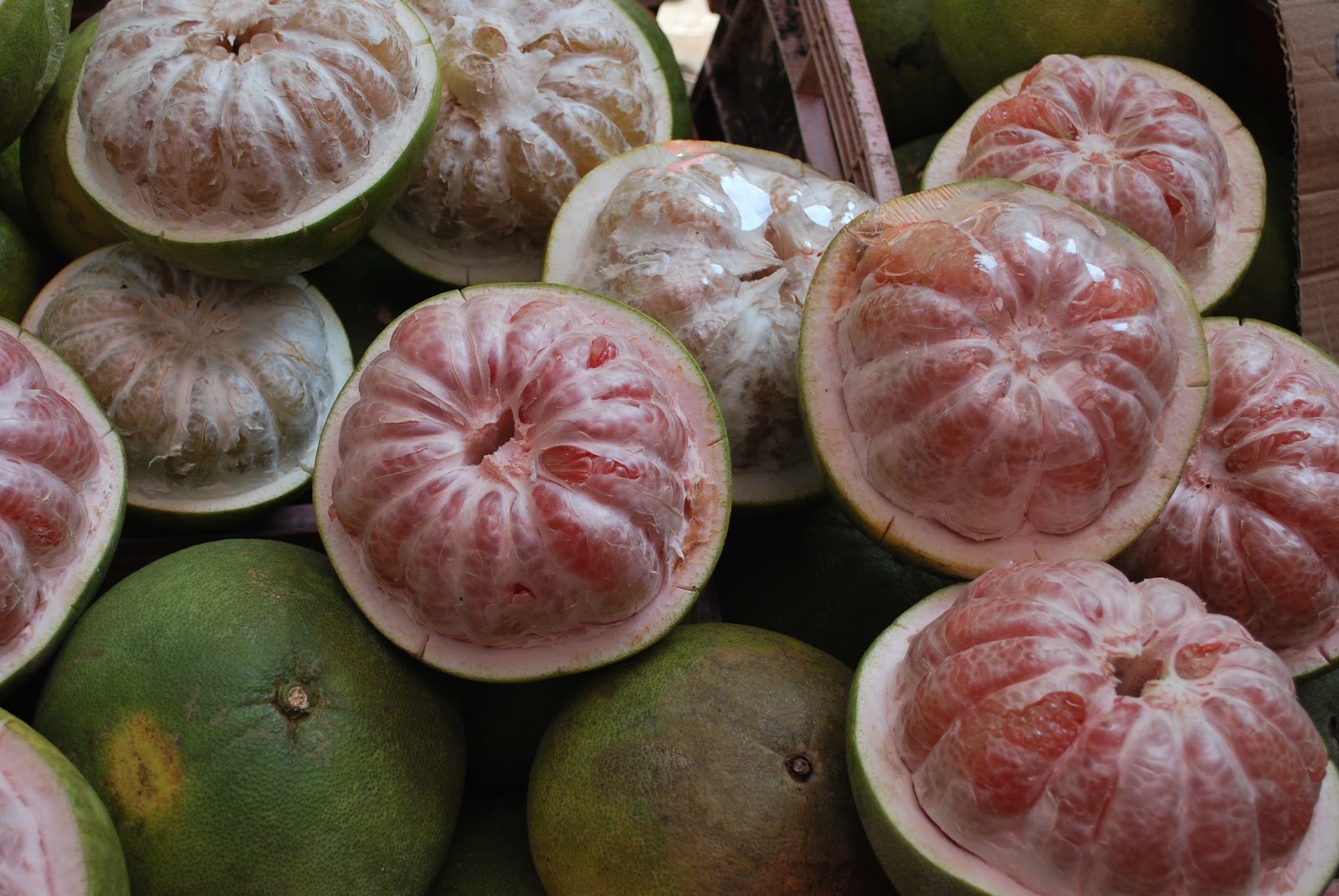 K i a s a n A l a m: Limau Bali Padang Besar