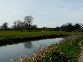 Cindy's Snaps: A tour along the River Lark ... Mildenhall, the Eighth ...