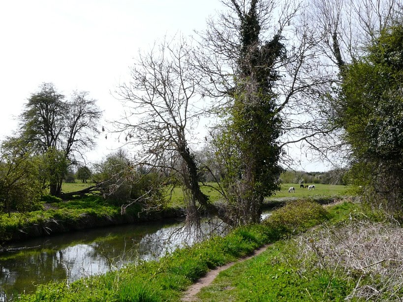 Cindy's Snaps: A tour along the River Lark ... Mildenhall, the Eighth ...