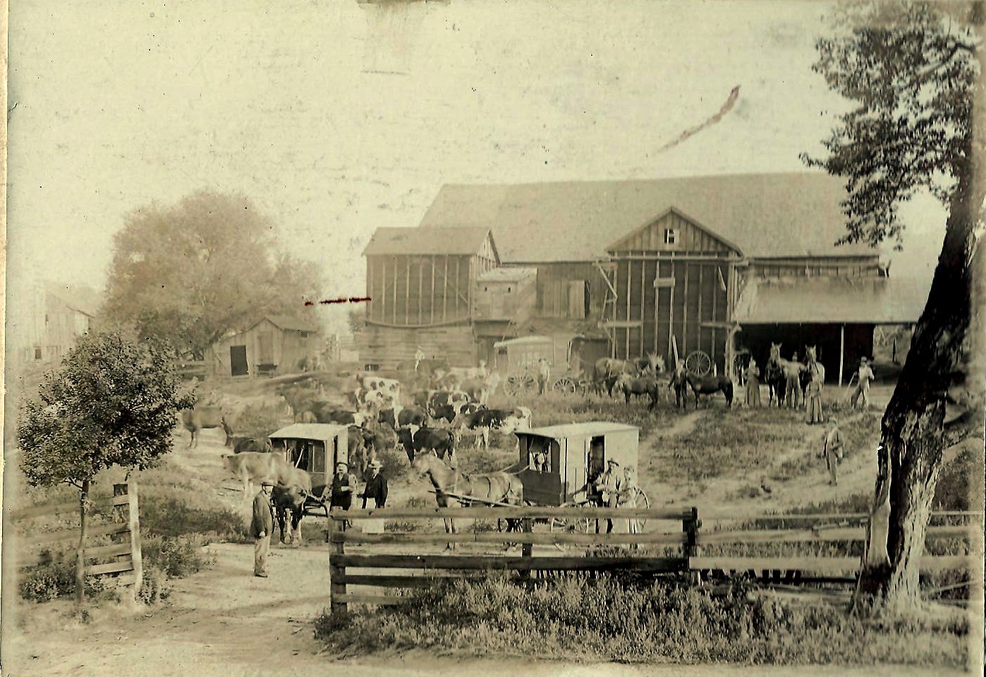 Looking Out My Window: Tommy Moore's Farm