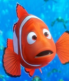 Word Traveler: "Letting Go of Kids is Hard to Do"