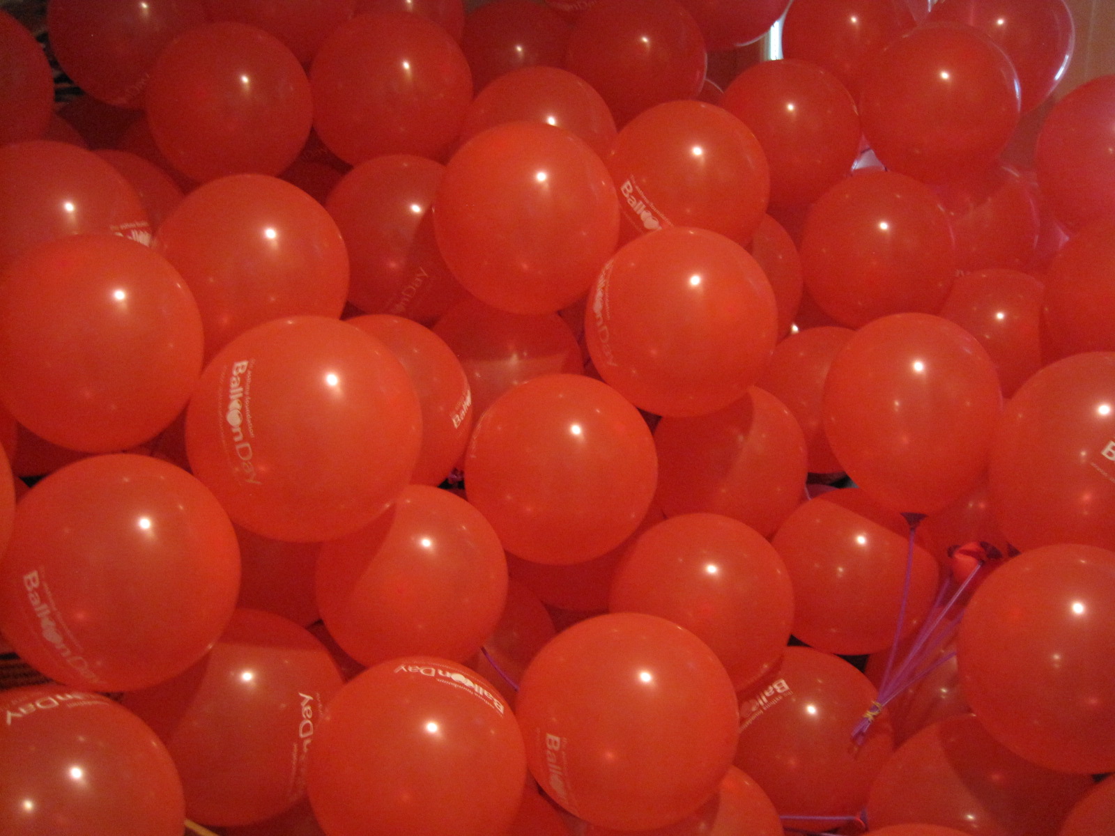 BDK Community: May 2010