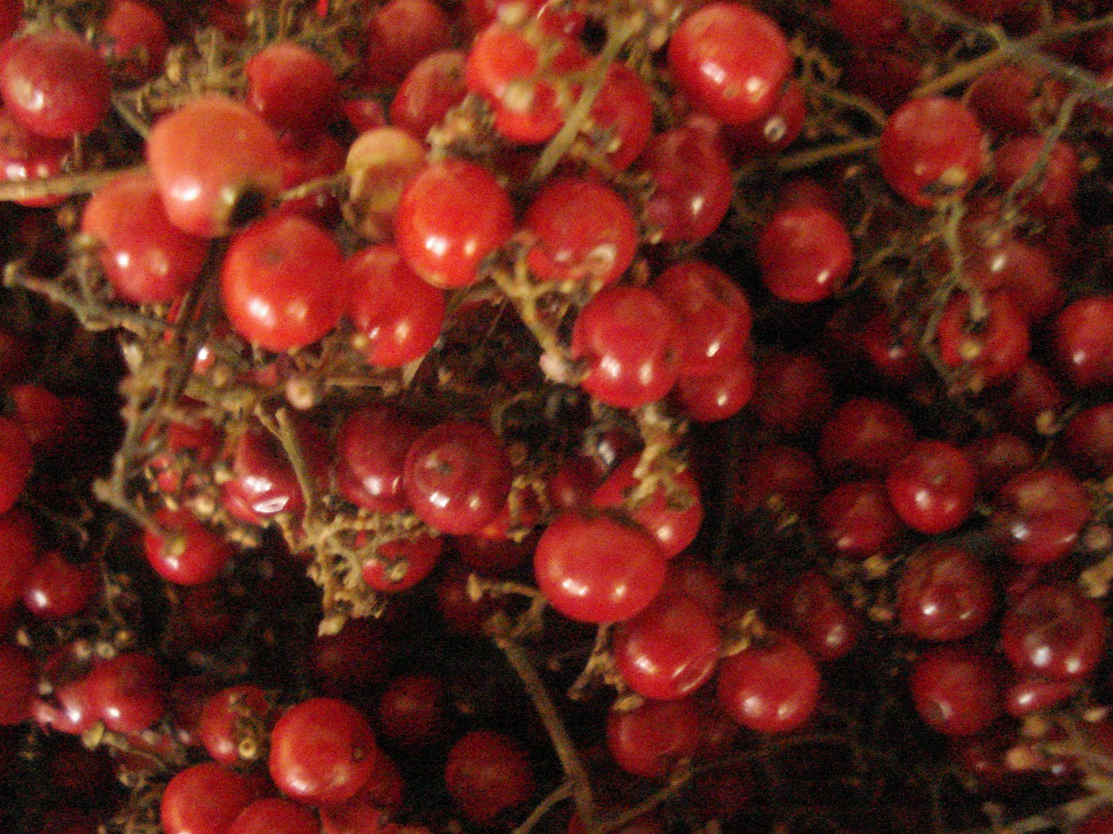 UM CAMINHO...: PIMENTA ROSA