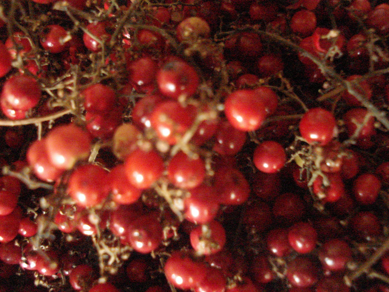 UM CAMINHO...: PIMENTA ROSA