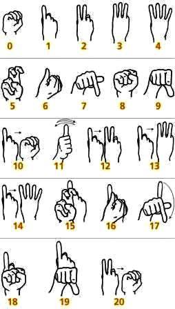 Números em Libras | Aprendendo com a Tia Debora