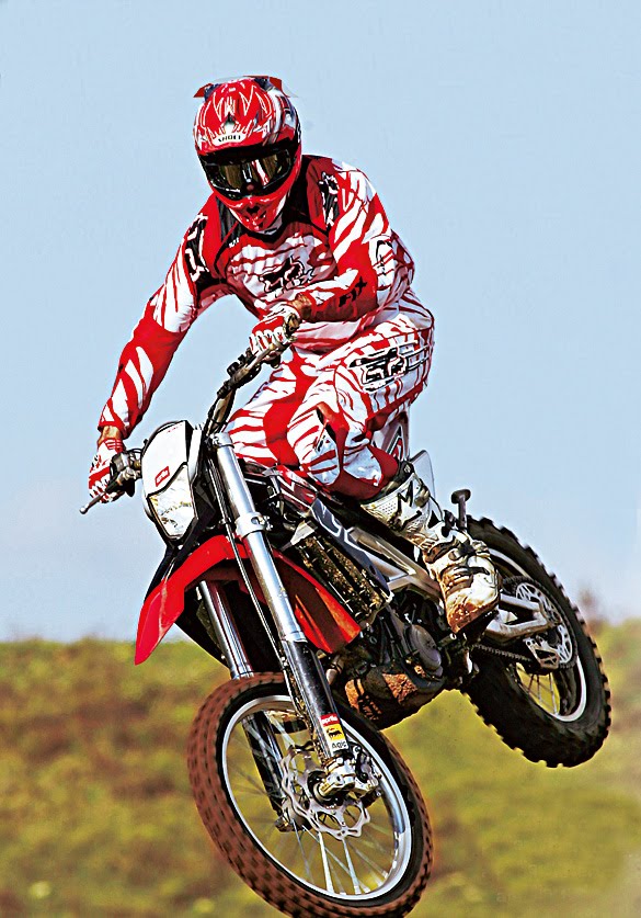 Motorcycle Best Picture Gallery: Aprilia RXV 450 Images