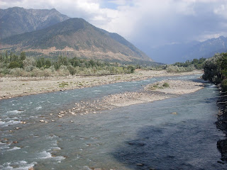 CHINAR SHADE : GANDERBAL( KASHMIR ) AREA VIEWS