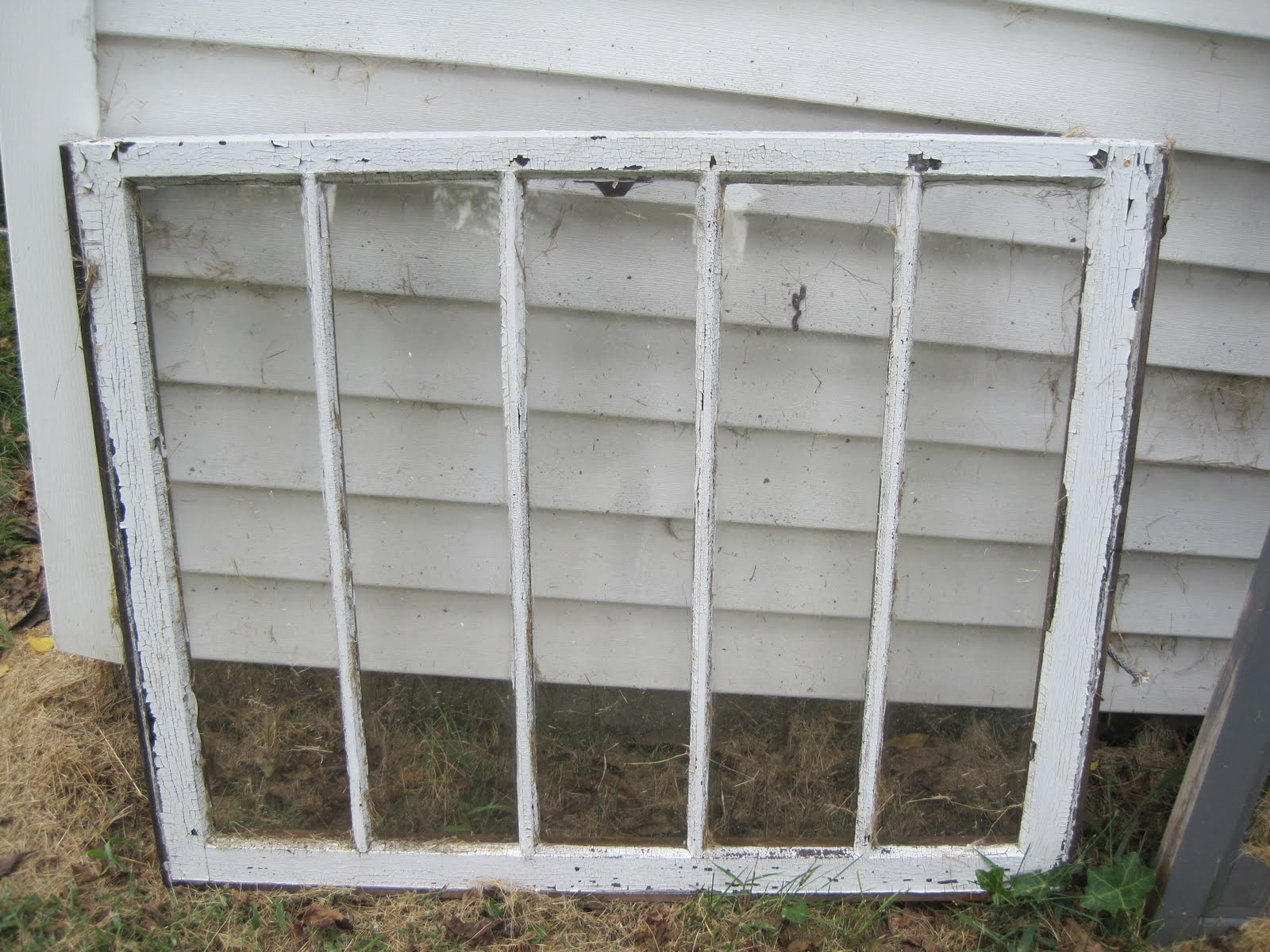 Ella Mae's: Old Windows