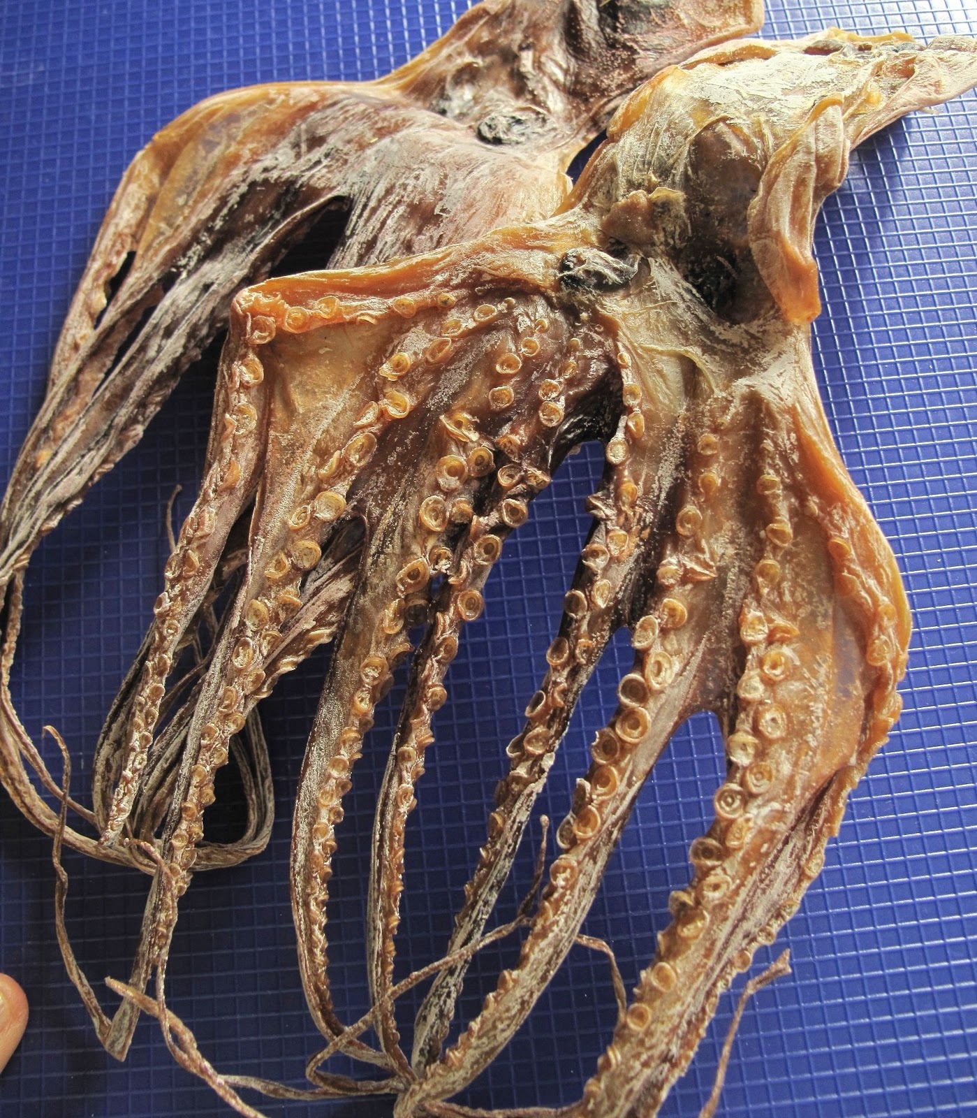 My Kitchen's Pantry---foodstuffs used in my recipes!: Dried Goods