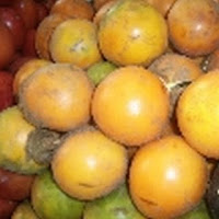 Our Ecuador: The Fruits of Ecuador