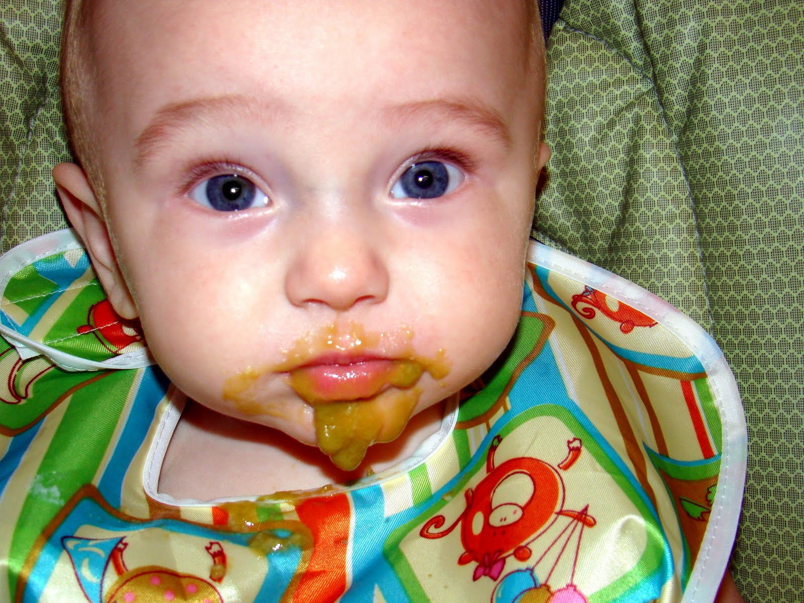 First Veges in Photos - The Journey of Parenthood...