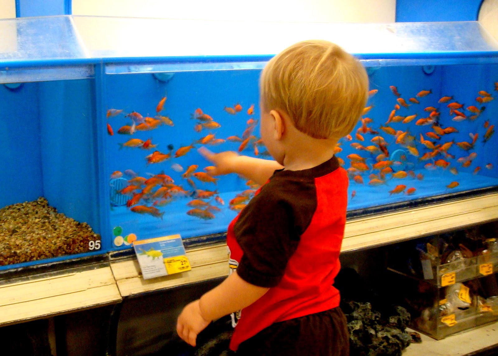 Petsmart: Valdosta's Zoo - The Journey of Parenthood...