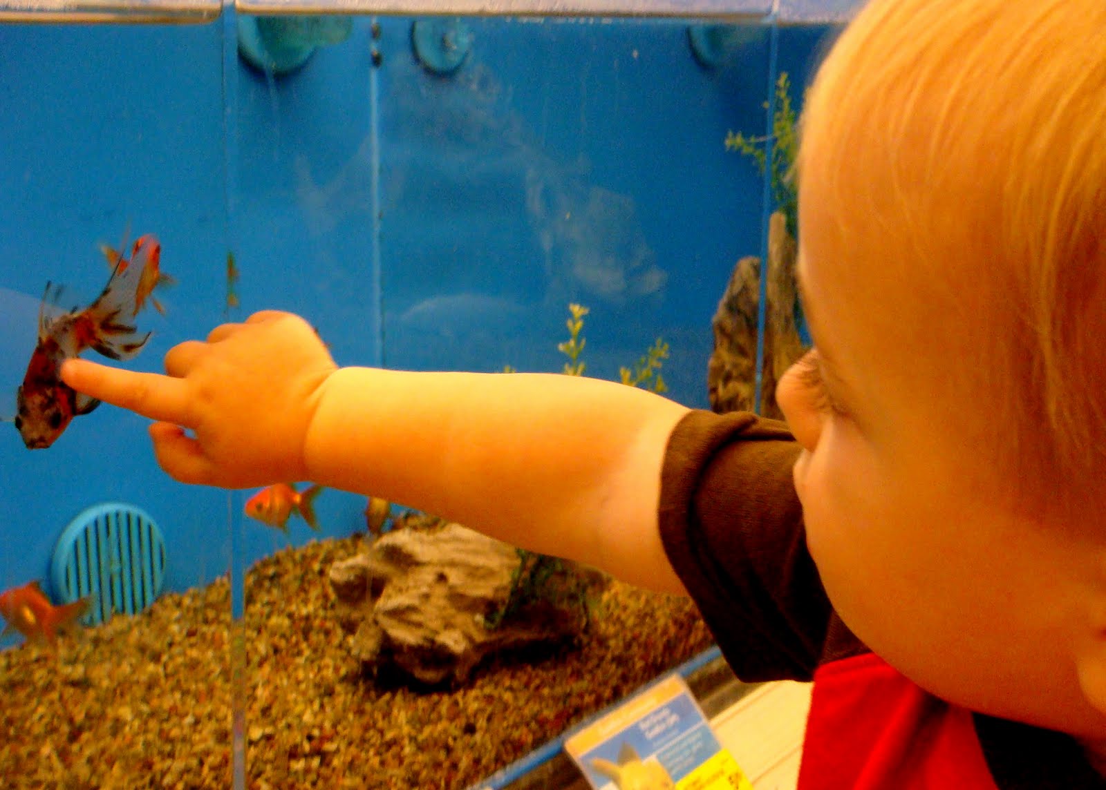 Petsmart: Valdosta's Zoo - The Journey of Parenthood...