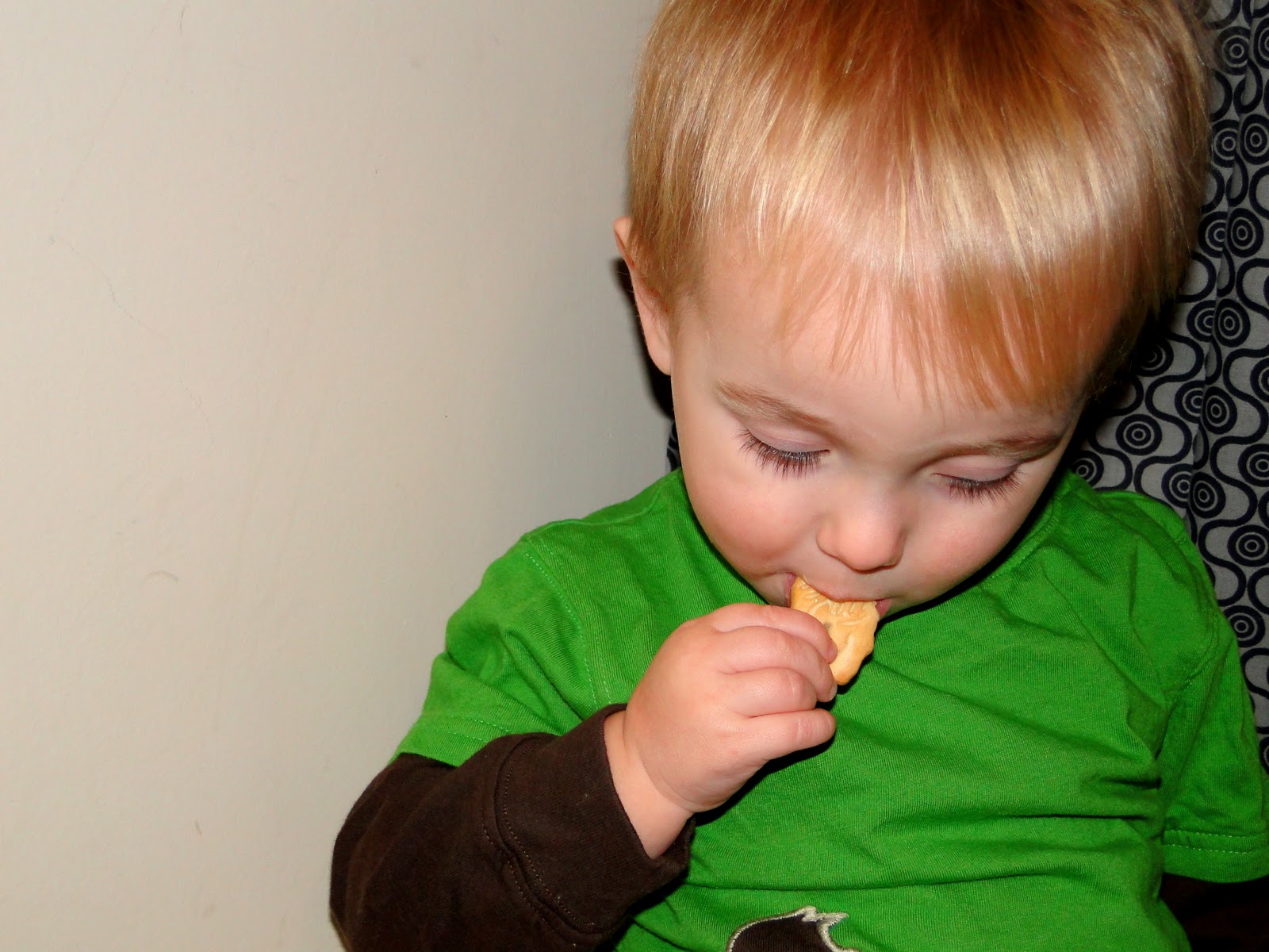 The Many Faces of Cookie Eating - The Journey of Parenthood...