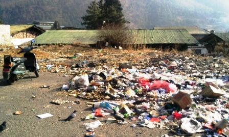 Volunteering in Bhutan: 01.30.2011