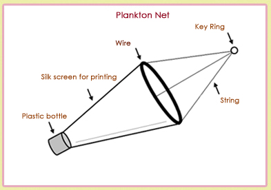 Advanced Science Research Methods: Plankton Net Research tool