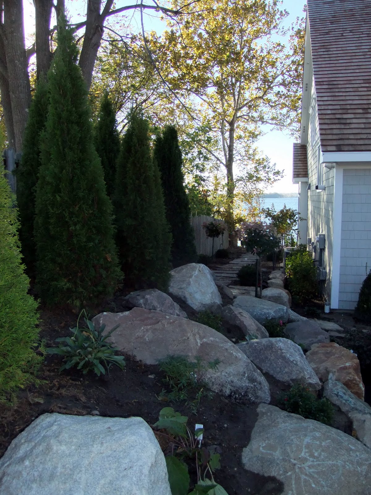 Islandscapes: Going Green