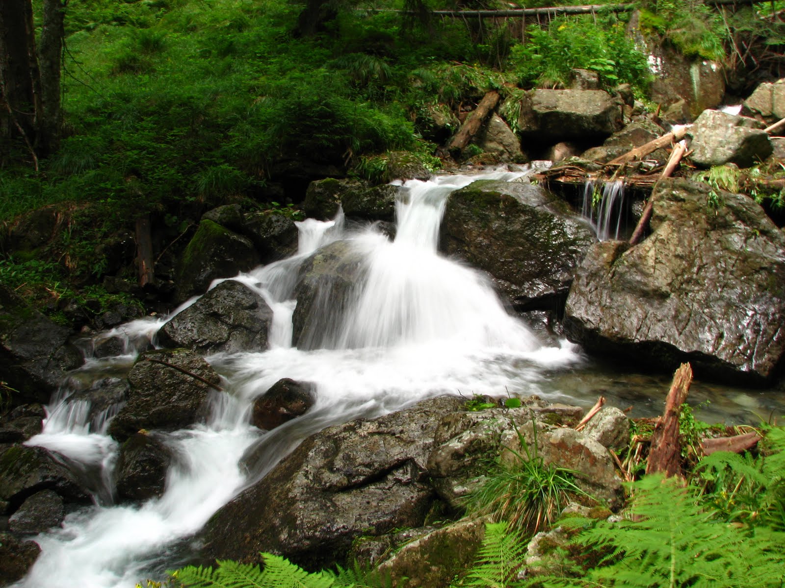 Marius CHIRA: Muntii Vladeasa - Valea Draganului - Cascada Moara Dracului