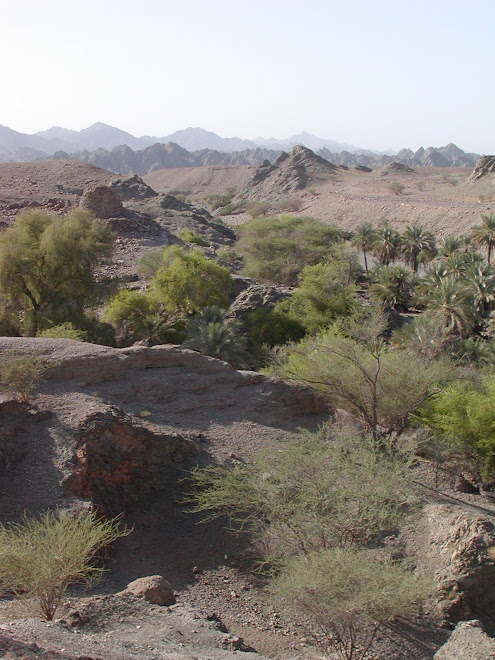 BZD in Oman: Tropical dry forest