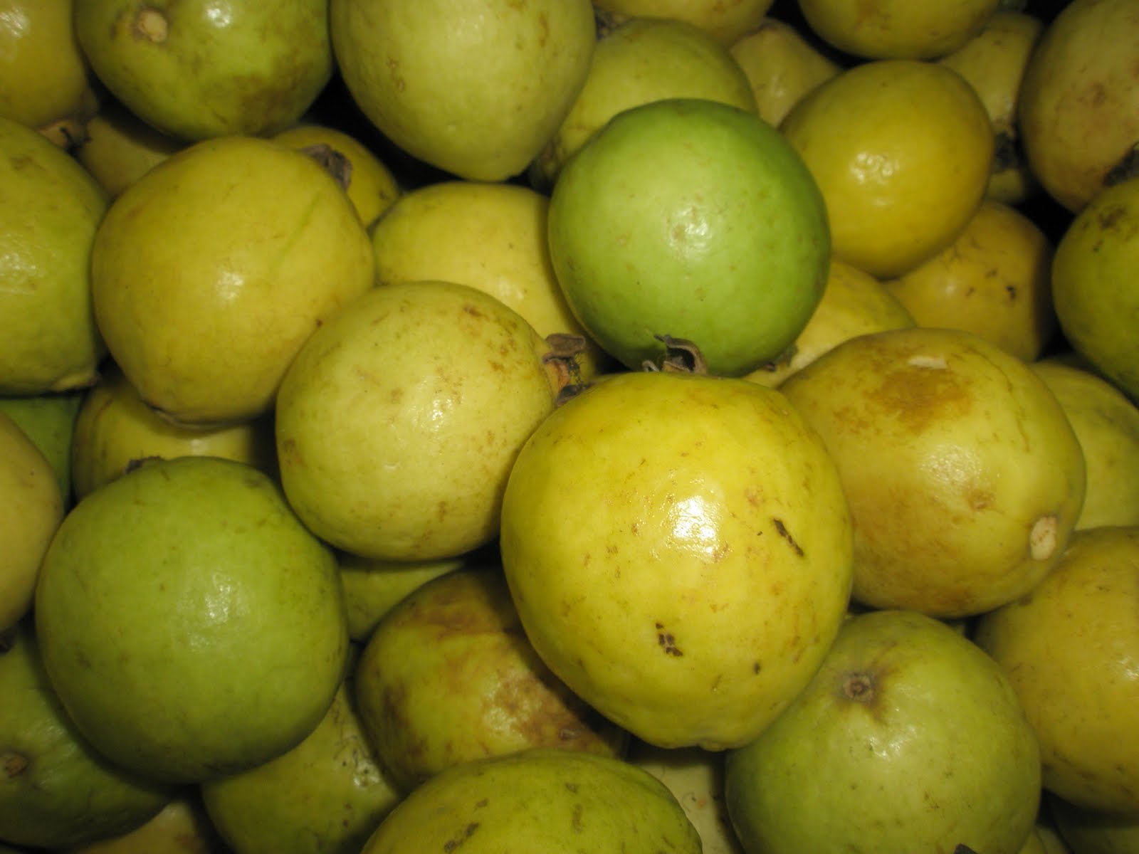 SINTIENDO SUDAMÉRICA: FRUTAS TROPICALES