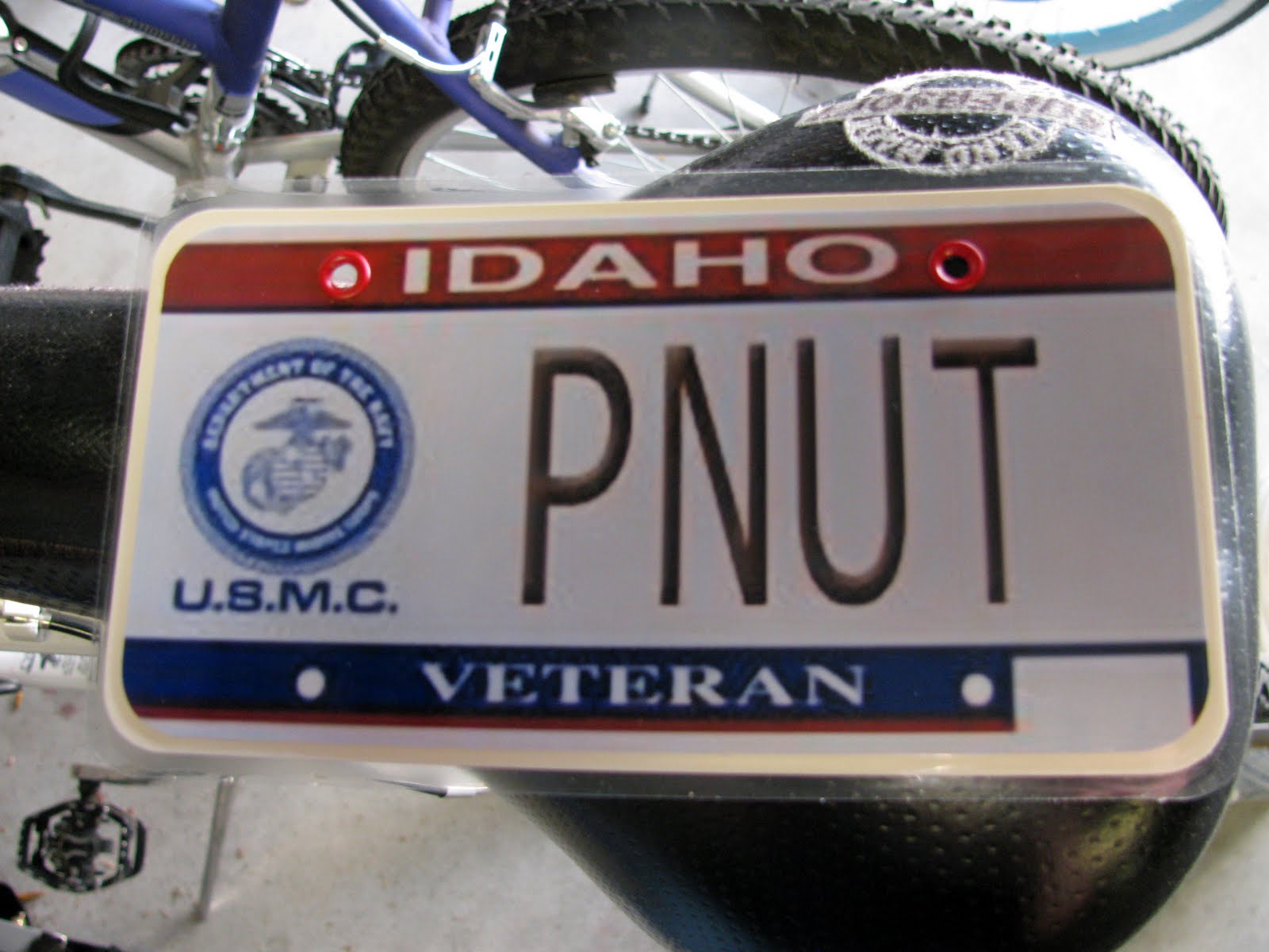 Controlling My Chaos: Kids' Bike License Plates